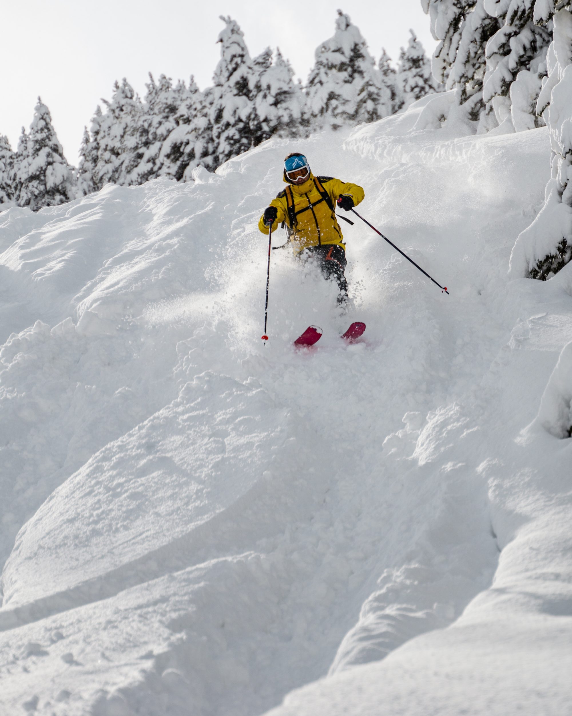 THANKS GLORIA - Pol Tarrés